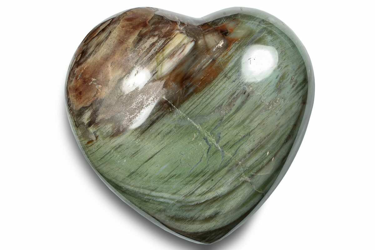 3.4" Polished Triassic Petrified Wood Heart - Madagascar (#249177) For ...