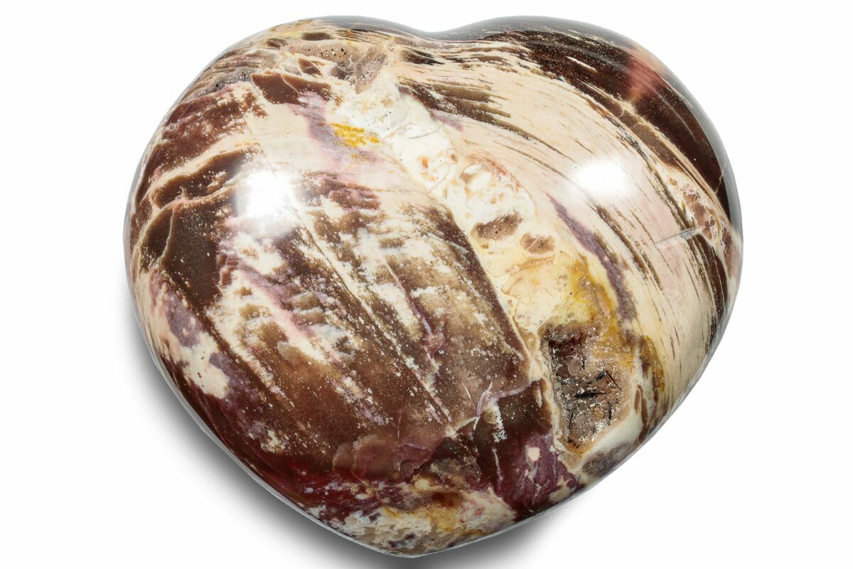 3.4" Polished Triassic Petrified Wood Heart - Madagascar (#249178) For ...