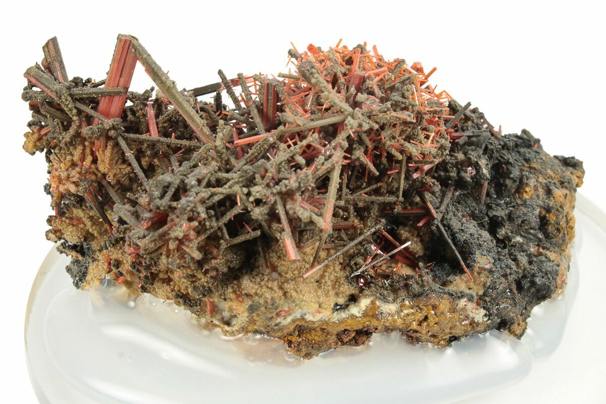 2.6" Bright Orange Crocoite Crystal Cluster - Tasmania (#250023) For ...