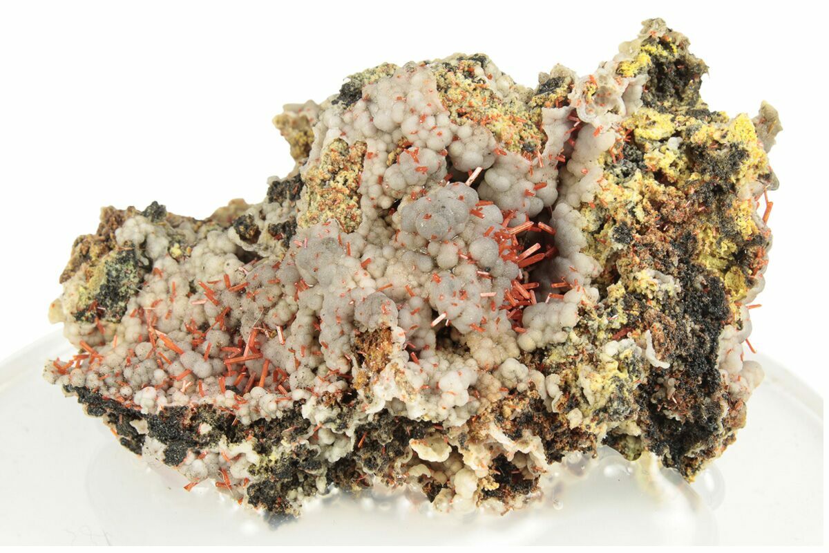 2.6" Bright Orange Crocoite Crystal Cluster - Tasmania (#250025) For ...