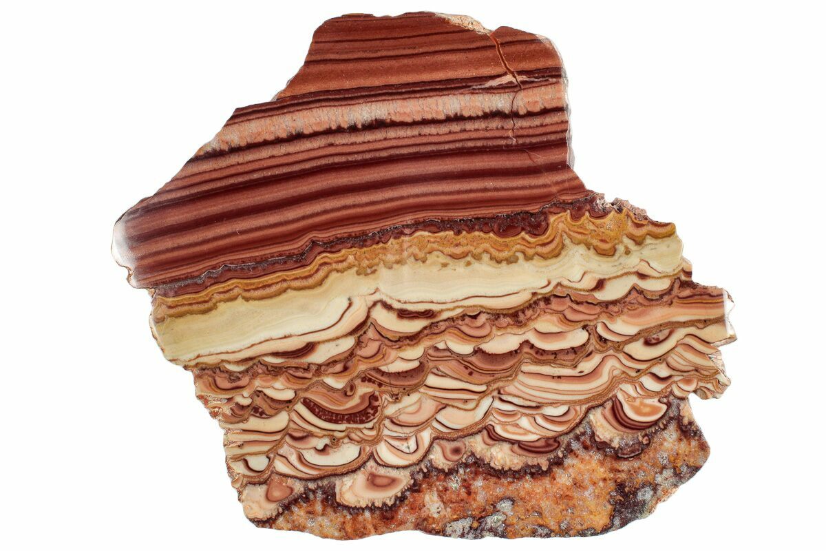 5.45" Polished Slab Of Rolling Hills Dolomite - Mexico (#249962) For ...