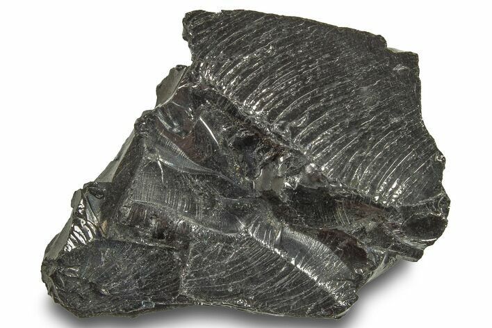 2.2" Lustrous, High Grade Shungite - Colombia (#252229) For Sale ...