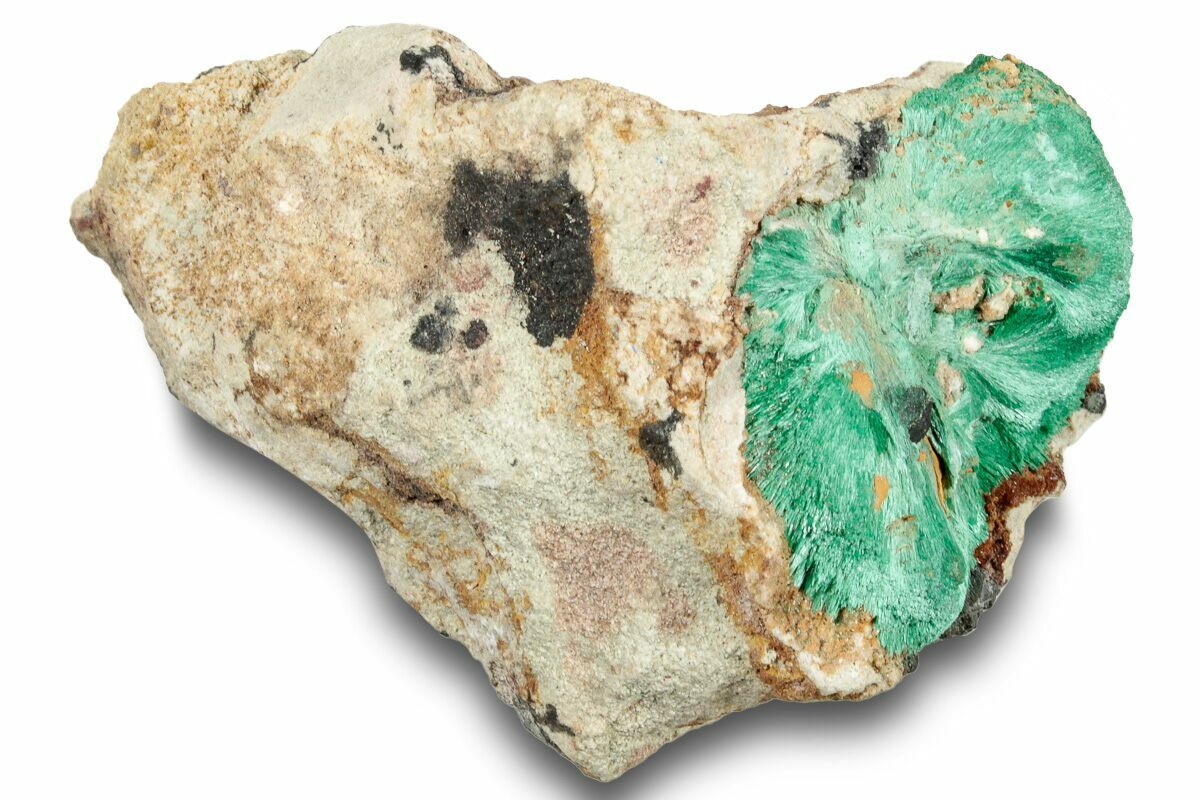 2.2" Silky, Fibrous Malachite Crystals on Matrix - Morocco (#253464 ...