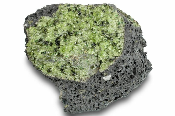 3.7" Peridot in Basalt - Arizona (#253775) For Sale - FossilEra.com