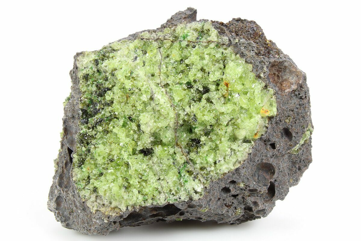 3.6" Peridot in Basalt - Arizona (#253766) For Sale - FossilEra.com