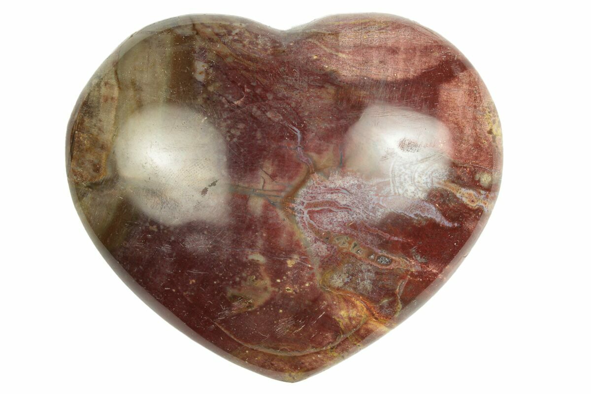 2.8" Polished Triassic Petrified Wood Heart - Madagascar (#249199) For ...