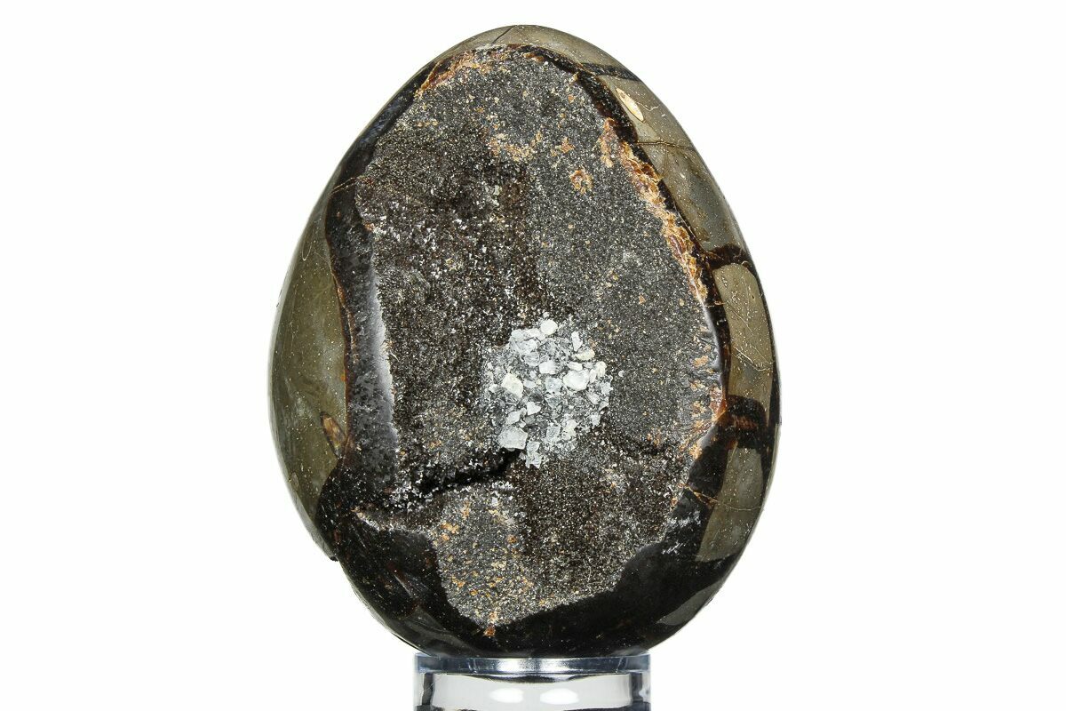 4.9" Septarian "Dragon Egg" Geode (#253627) For Sale - FossilEra.com