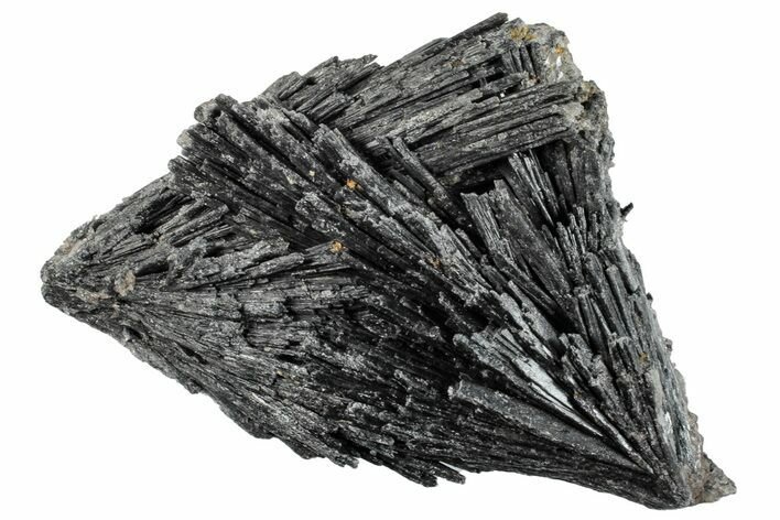 3.55" Intricate Black Kyanite Crystals - Brazil (#257923) For Sale ...