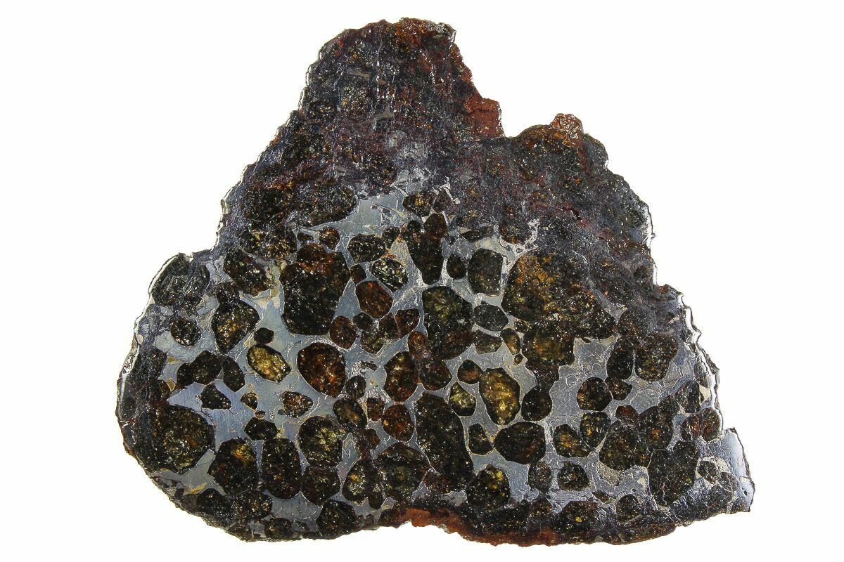 3.65" Polished Sericho Pallasite Meteorite (138 g) Section - Kenya ...