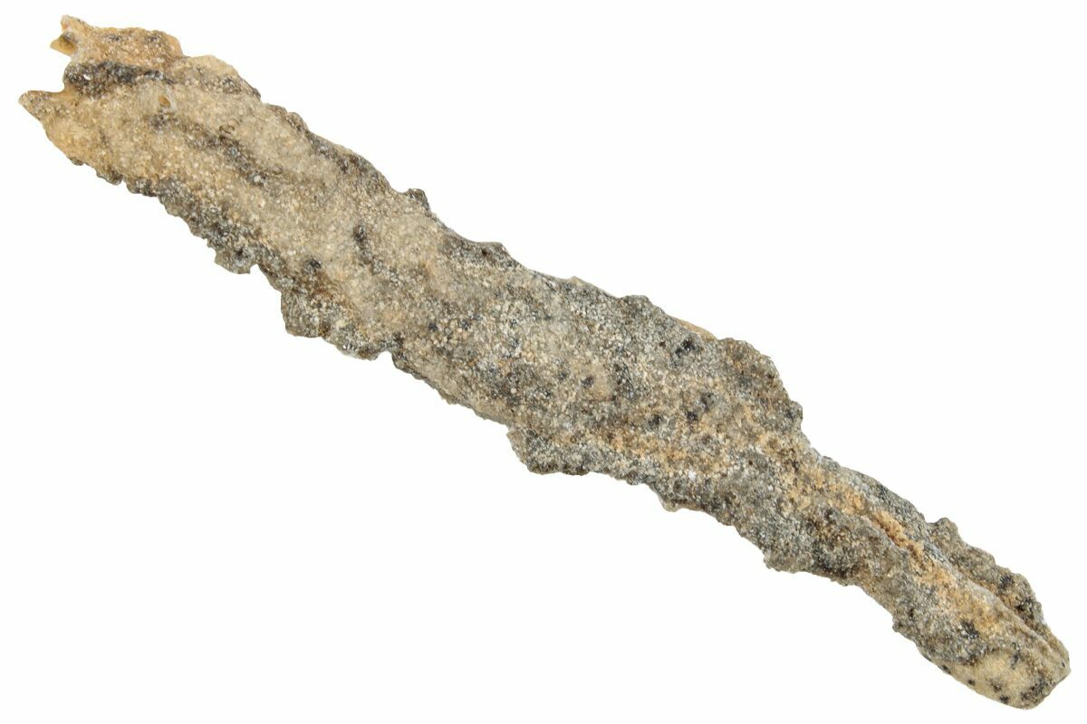 3" Fulgurite - "Petrified Lightning" (#260151) For Sale - FossilEra.com