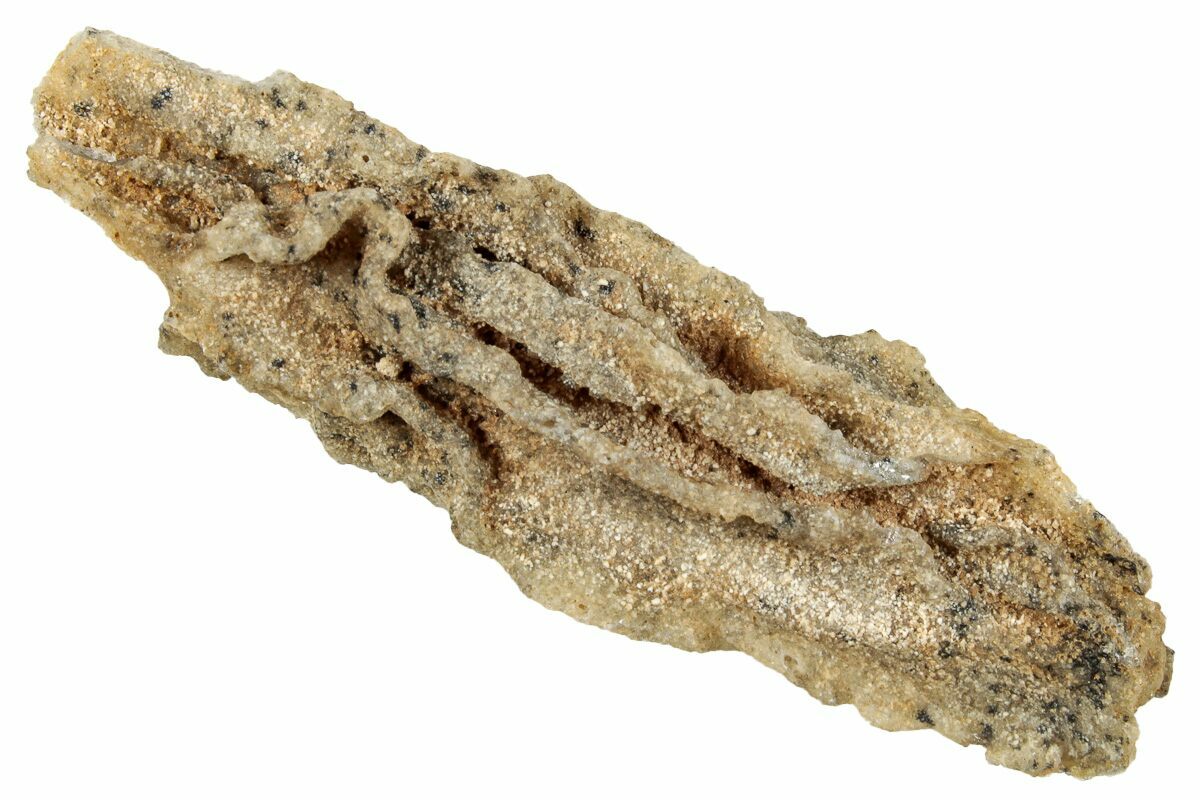 2.6" Fulgurite - "Petrified Lightning" (#260444) For Sale - FossilEra.com