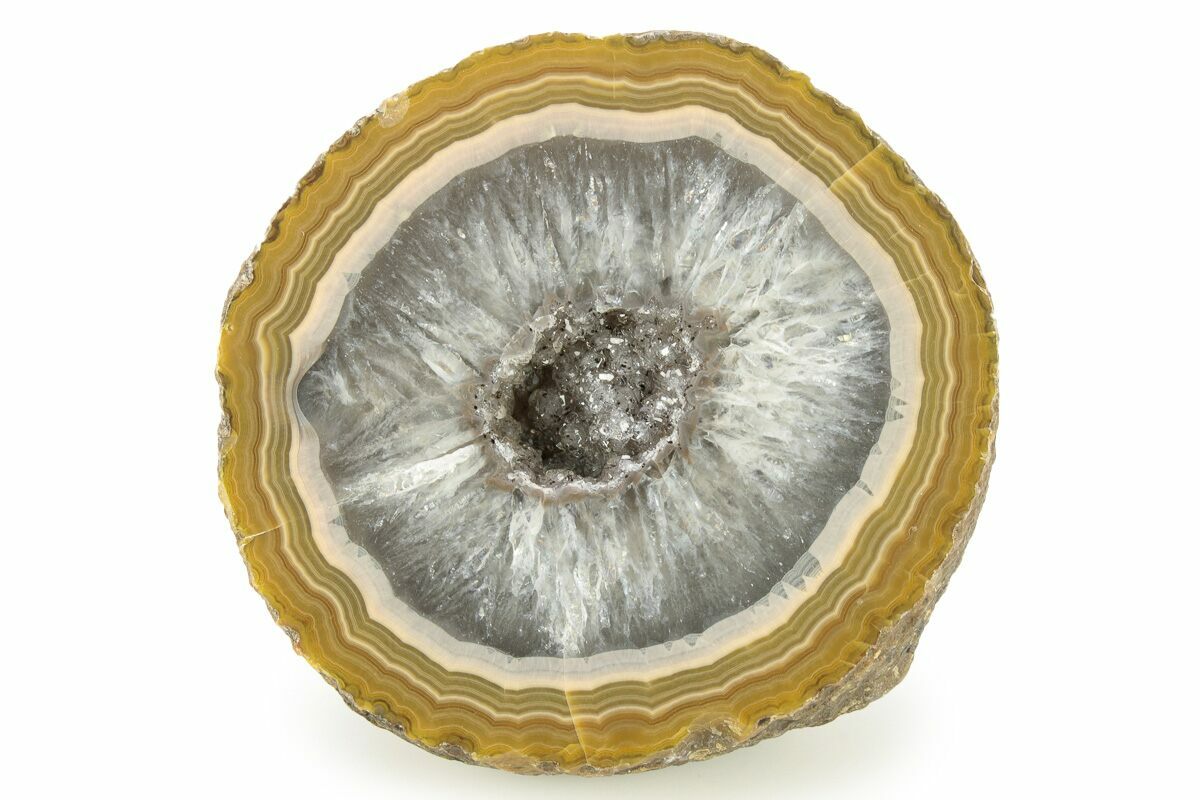 2.7" Polished Warring States Agate Nodule Half - China (#260580) For ...