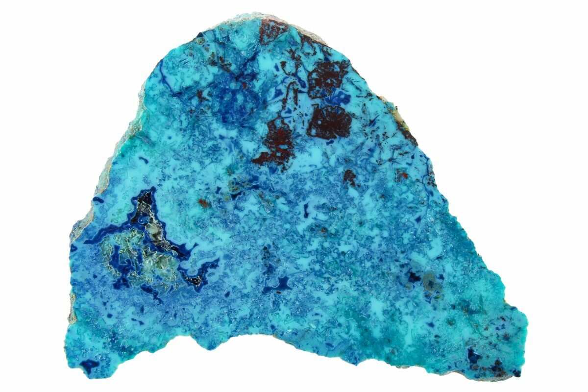 1.75" Colorful Chrysocolla and Shattuckite Slab - Mexico (#260680) For Sale - FossilEra.com