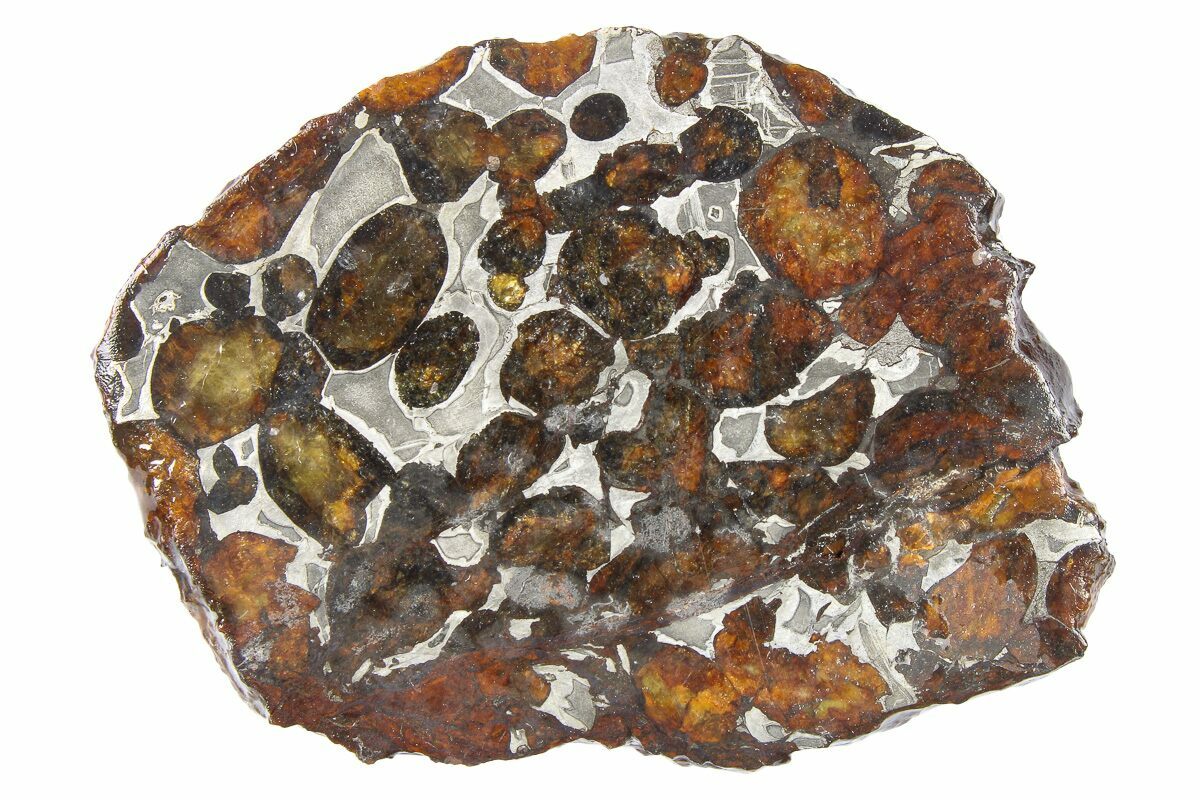 2.1" Polished Sericho Pallasite Meteorite (23.4 g) Slice - Kenya ...
