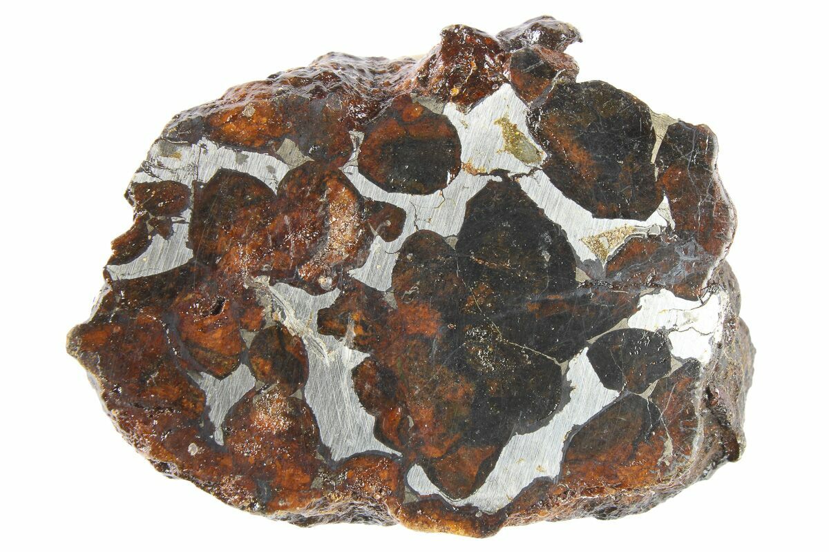 1.55" Polished Sericho Pallasite Meteorite (29.4 g) - Kenya (#262904 ...
