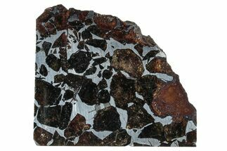 Pallasite Meteorites For Sale - FossilEra.com