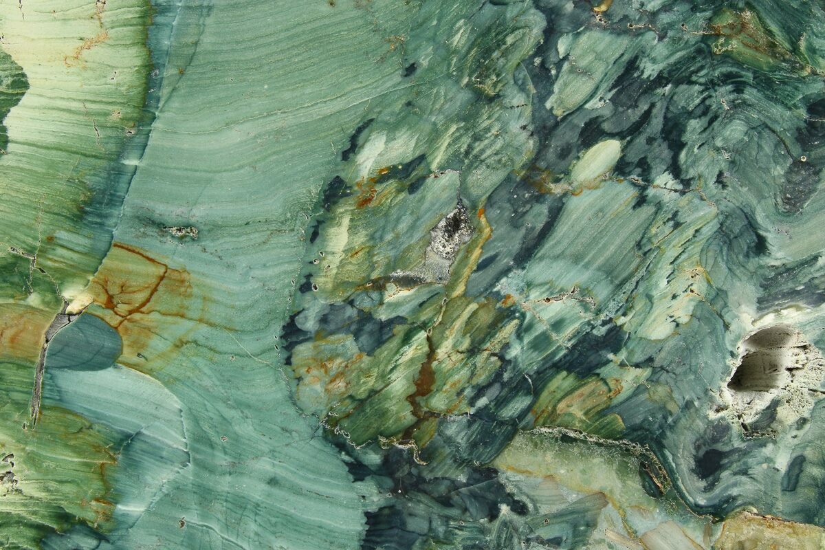 6" Gary Green Jasper (Larsonite) Bog Wood Section - Oregon (#263832 ...