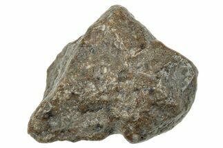 Lunar Meteorites - Moon Rocks For Sale - FossilEra.com