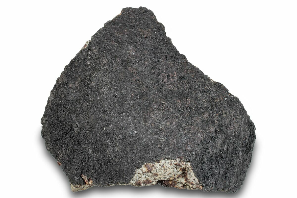3" Chondrite Meteorite (263 g) - Unclassified NWA (#265624) For Sale ...