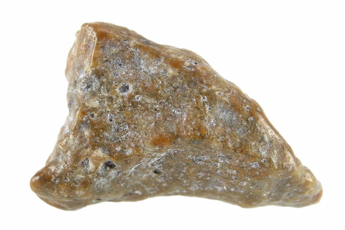 .34" Lunar Meteorite (0.18 g) - NWA 13974 (#267805) For Sale ...