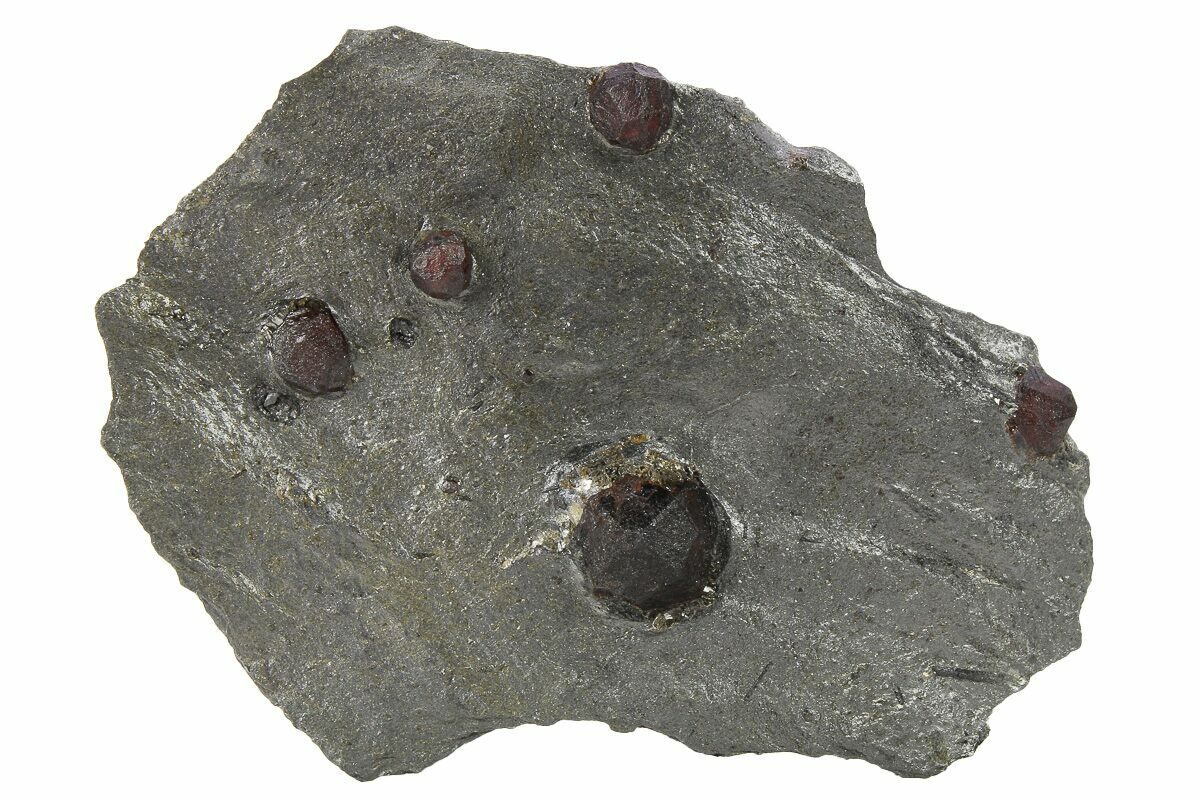 2.9" Plate of Five Red Embers Garnets in Graphite - Massachusetts ...