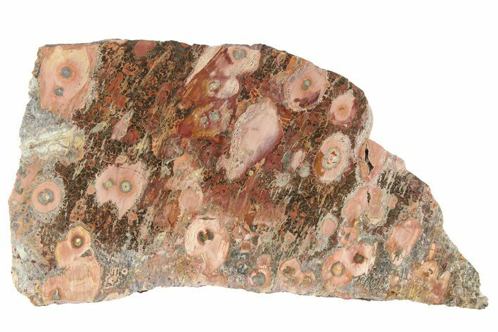7.3" Polished Bird's Eye Jasper (Rhyolite) Slab - Mexico (#279645) For ...