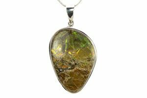 Ammolite jewelry for sale store