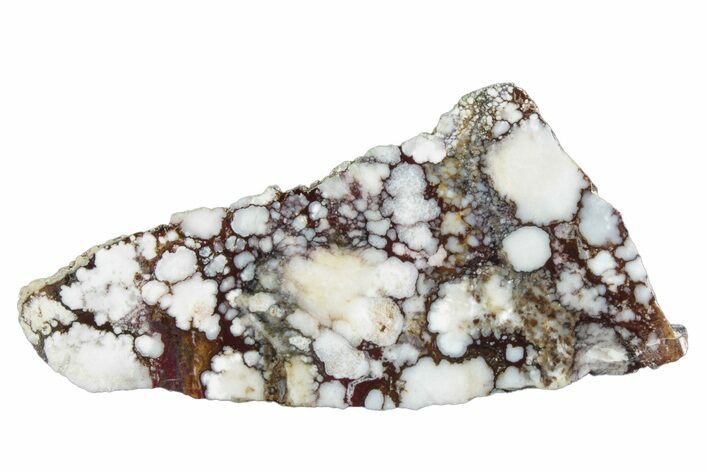 2.2" Polished Wild Horse Magnesite Slice - Arizona (#281859) For Sale ...