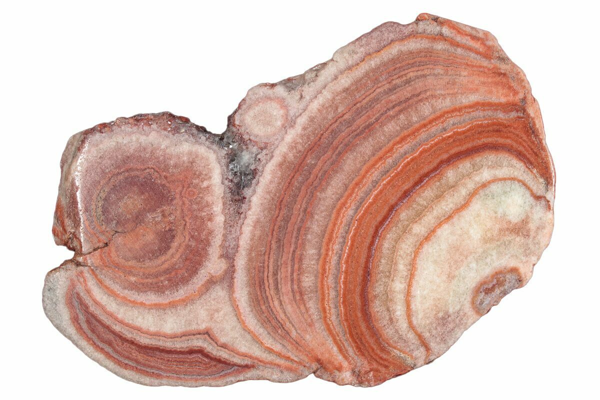 3.55" Polished Potato Agate Slice - England (#283047) For Sale ...