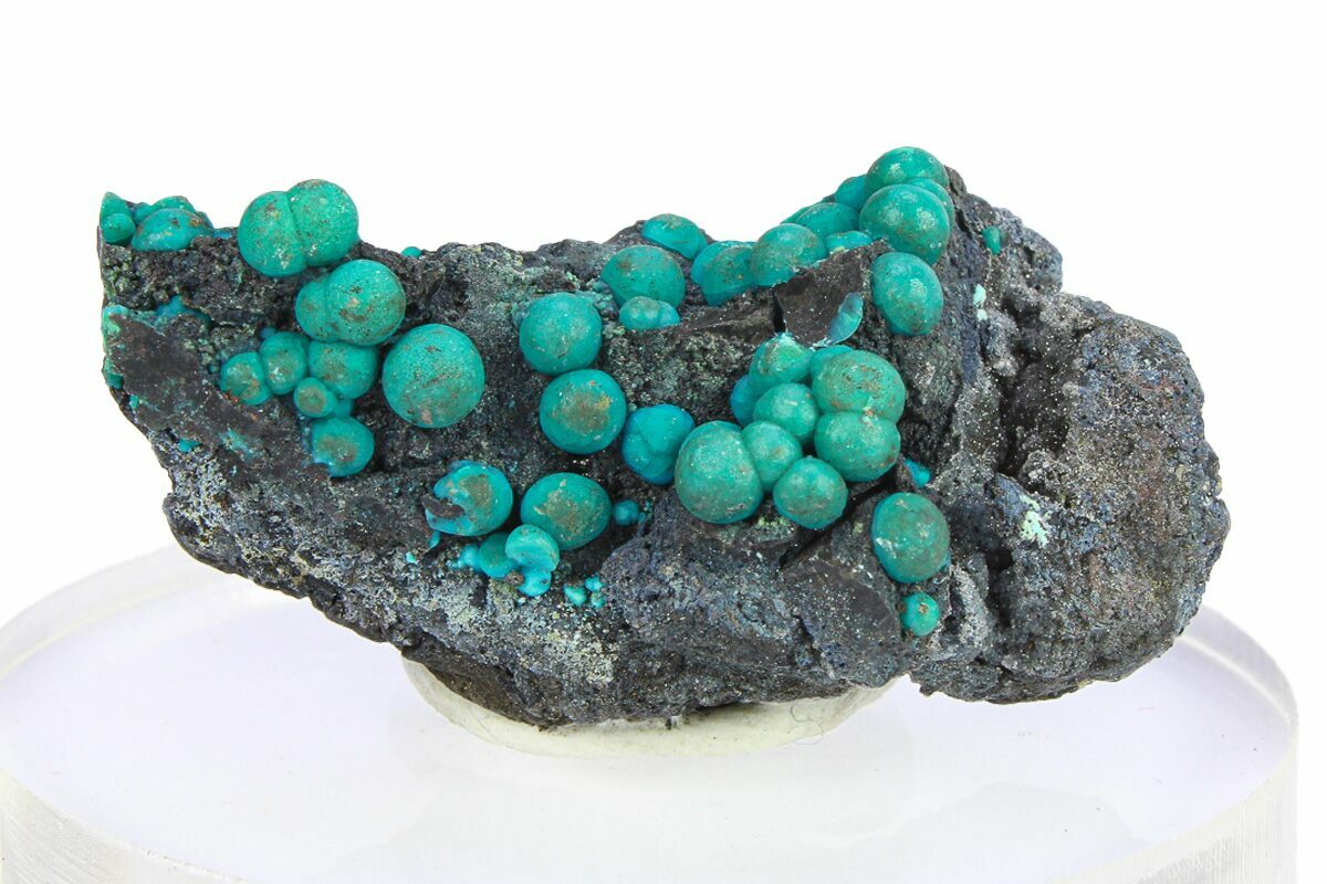 1.3" Deep Teal Botryoidal Chrysocolla - Planet Mine, Arizona (#283859 ...