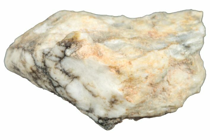 .29" Aubrite Meteorite Fragment - Djoua 001 (#283642) For Sale ...