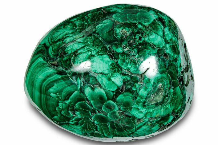 3" Gorgeous Polished Malachite Specimen - DR Congo (#288215) For Sale ...