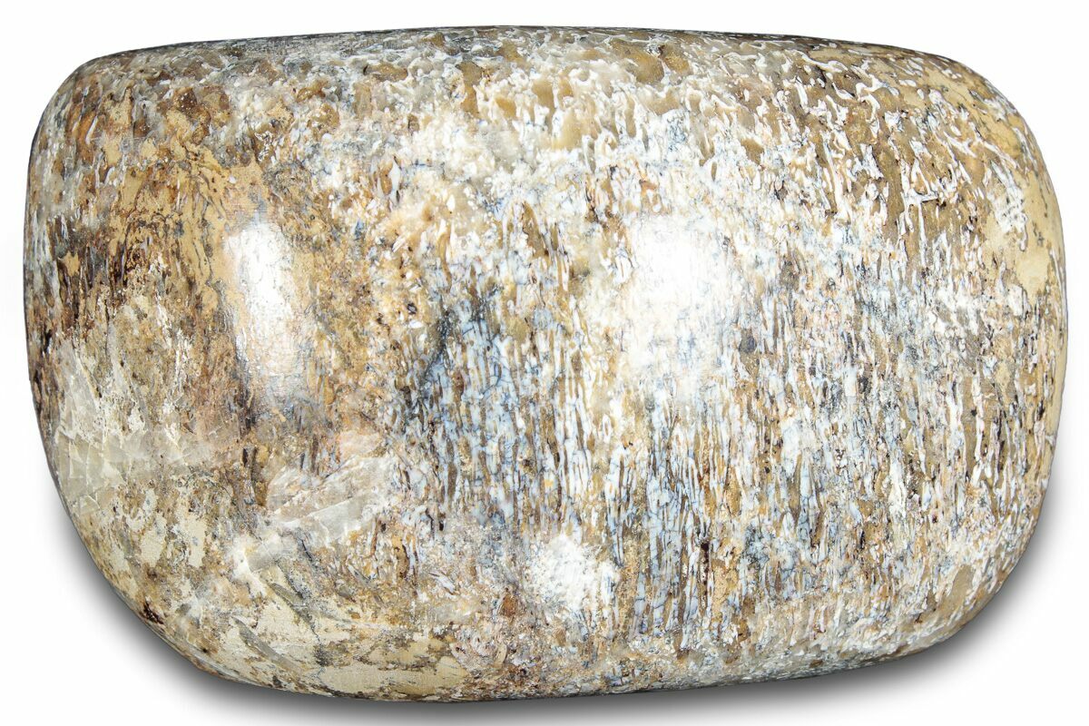 2.3" Polished Dinosaur Bone (Gembone) - Morocco (#287529) For Sale - FossilEra.com