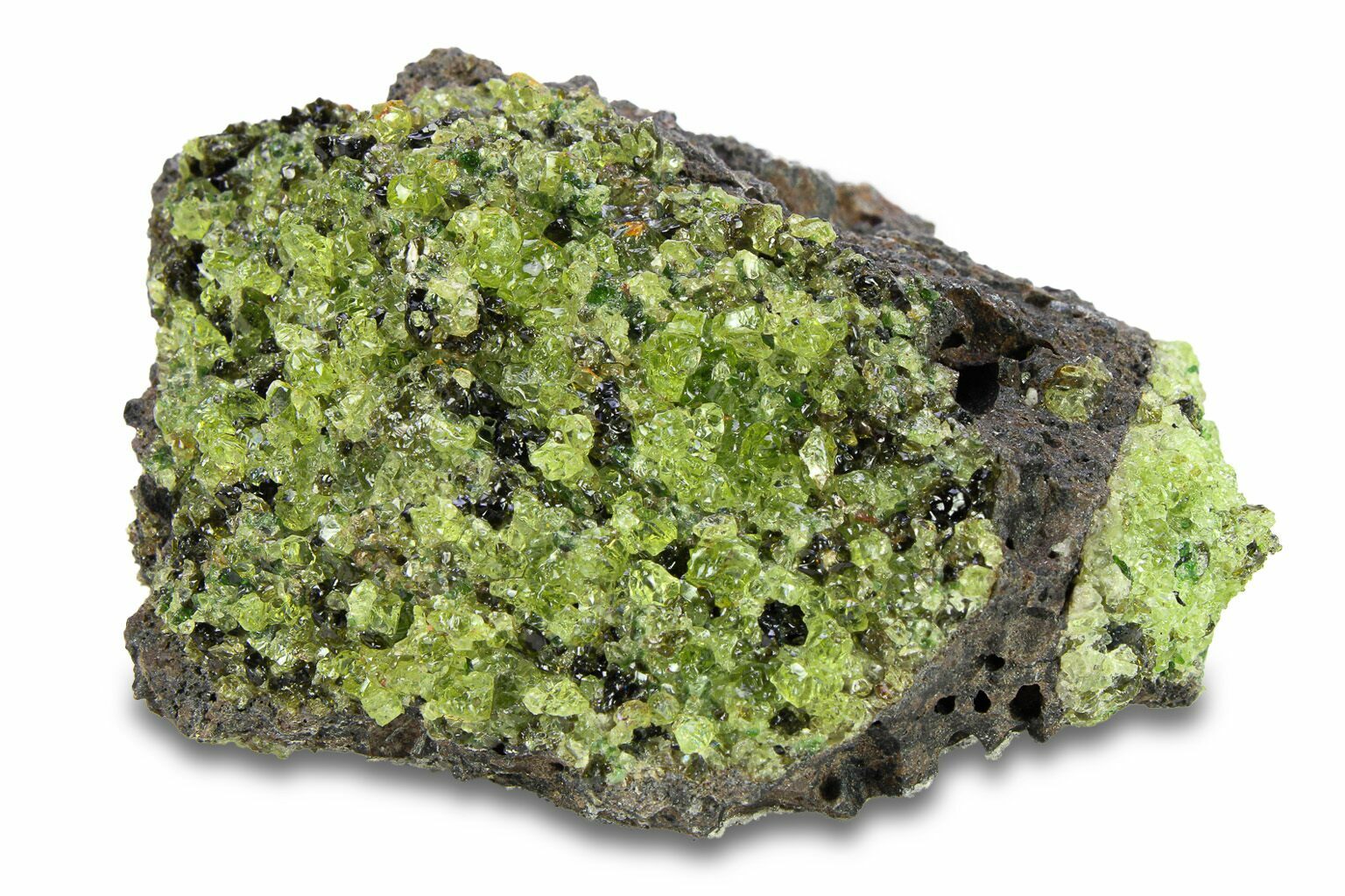 3.15" Peridot in Basalt - Arizona (#288269) For Sale - FossilEra.com
