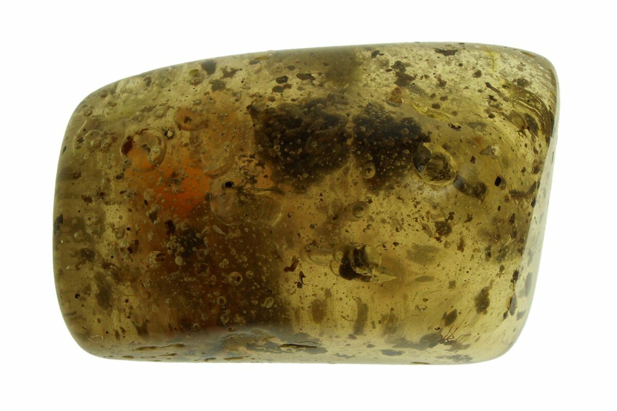 1.30" Polished Colombian Copal (7.6 g) - Contains Insects! (#293583 ...