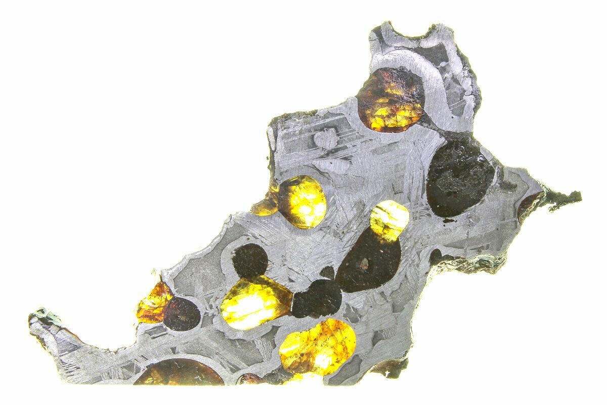 2.15" Brenham Pallasite Meteorite (11.6 g) Slice - Kansas (#294796) For ...