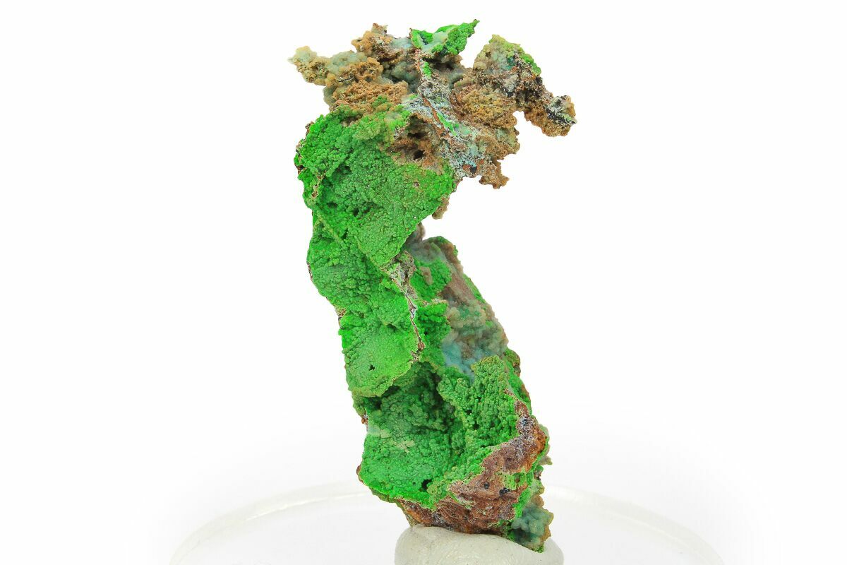 1.9" Vibrant Green Conichalcite with Chrysocolla - Namibia (#295911 ...