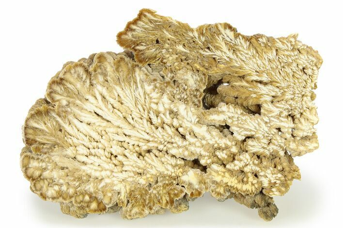 7" Polished Barite With Pyrite Slab - Lubin Mine, Poland (#298585) For ...