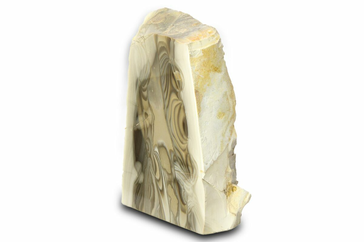 6" Polished Striped Flint Stand Up - Poland (#299248) For Sale ...