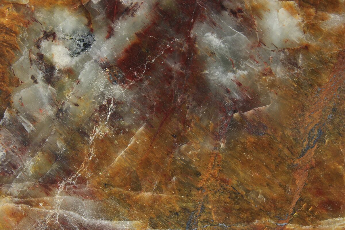 4.1" Lustrous Binghamite Agate Section - Minnesota (#299346) For Sale ...