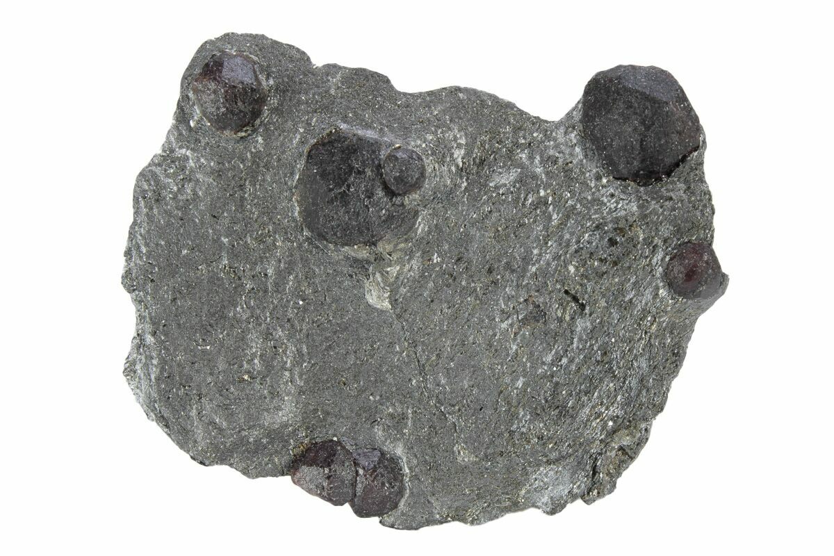 1.9" Plate of Seven Red Embers Garnets in Graphite - Massachusetts ...