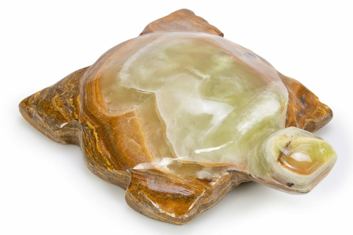 4.2" Carved Green Banded Calcite Turtle - Pakistan (#301406) For Sale ...