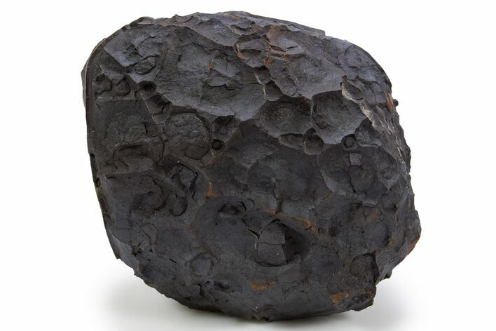 4.4" Dragon Scale Stone (Iron, Manganese, Siderite Nodule) (#302330 ...