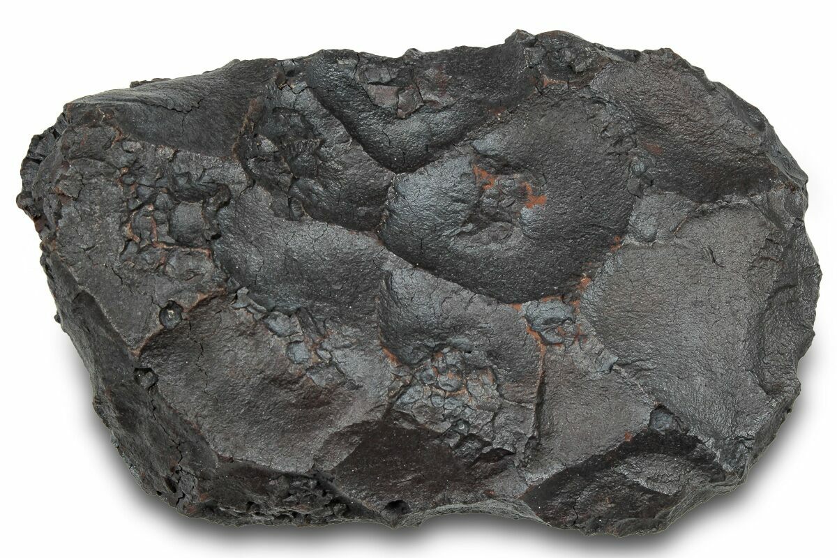 3.3" Dragon Scale Stone (Iron, Manganese, Siderite Nodule) (#302339 ...