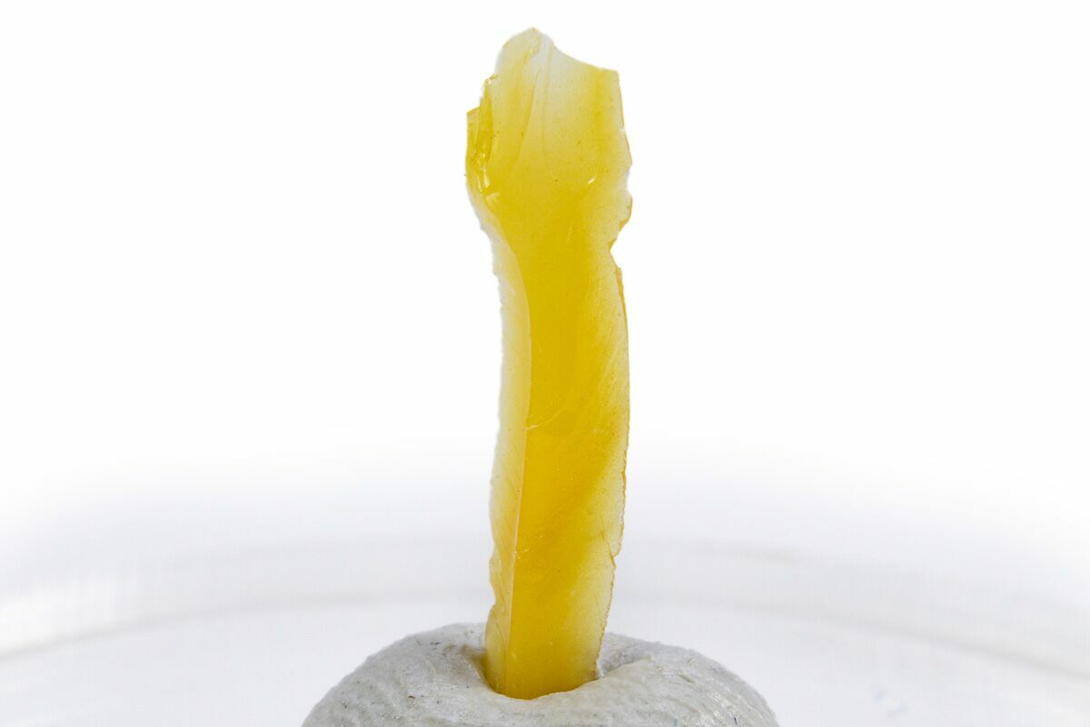 .63" Kansas Amber (Jelinite) Specimen - George Jelinek Collection ...