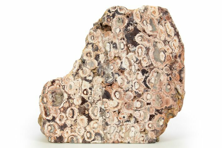 5.4" Polished Bird's Eye Jasper (Rhyolite) Stand-Up - Mexico (#308280 ...