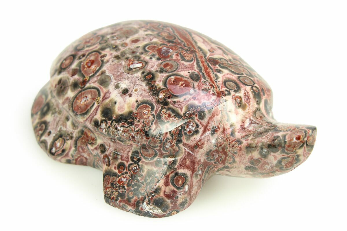 2.4" Carved Leopard Stone Turtle - Mexico (#308309) For Sale ...
