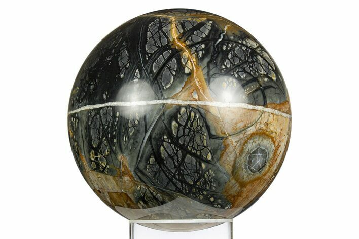 5" Polished Picasso Marble Sphere - Utah (#308641) For Sale - FossilEra.com