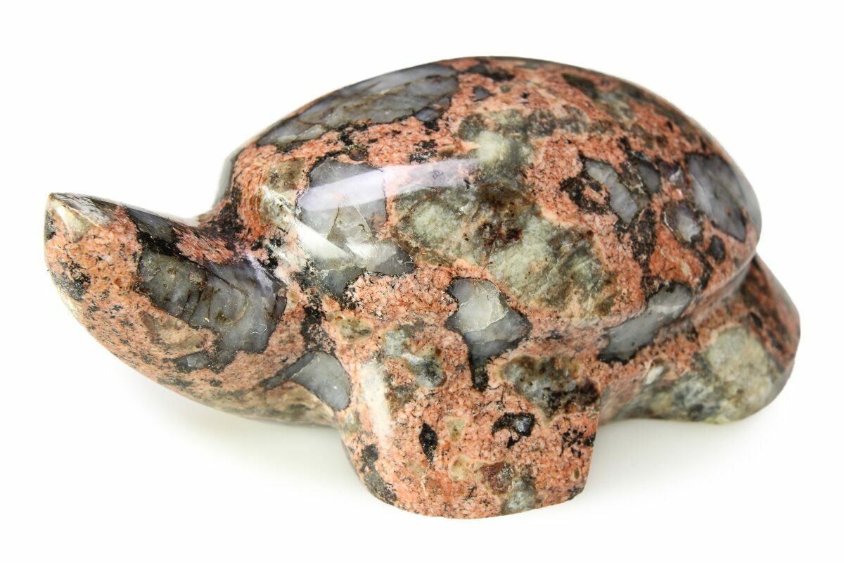 2" Carved Red Flower Granite Turtle - Arizona (#308544) For Sale ...