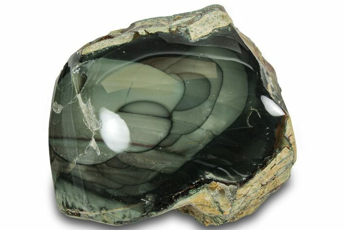 2.8" Polished Section of Blue Mountain Jasper - Oregon (#316121) For ...
